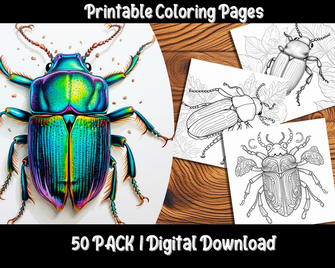 Beetle Coloring Pages: Engaging and Relaxing Activity for All Ages ...