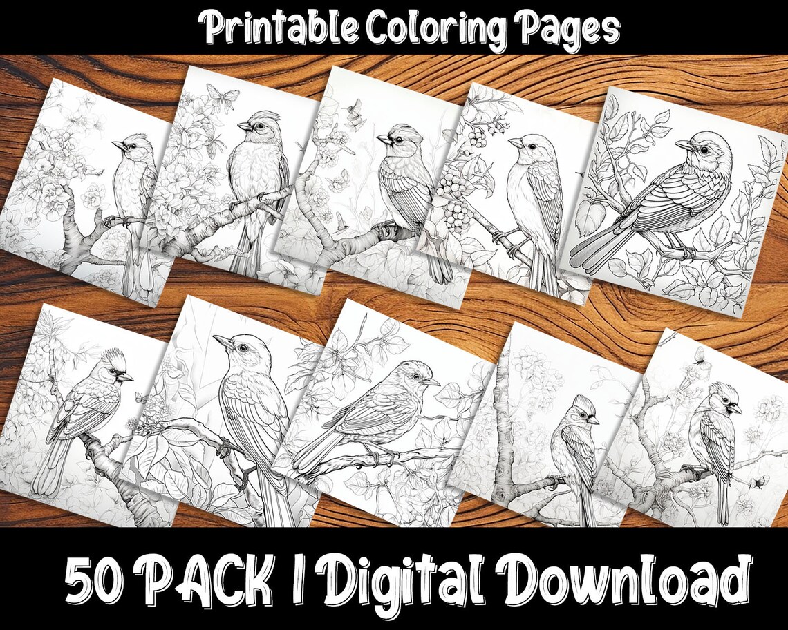 Bird-themed Coloring Pages: Engaging and Relaxing Activity for All Ages ...