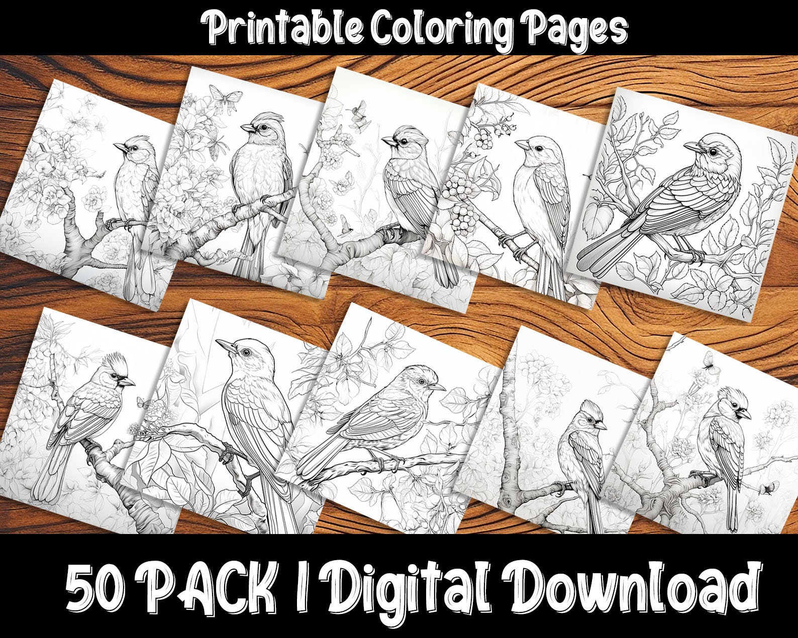 Bird-themed Coloring Pages: Engaging and Relaxing Activity for All Ages ...