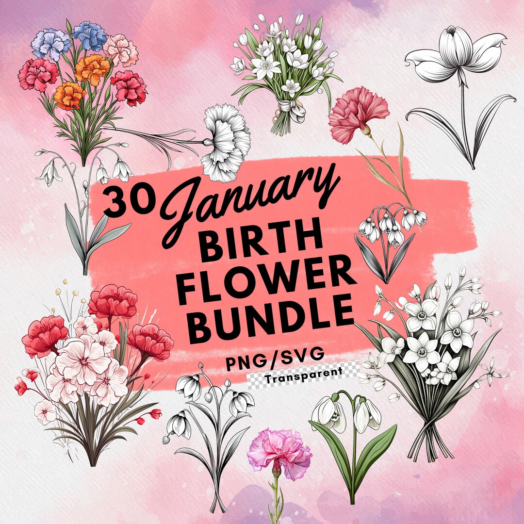 January Birth Month Flowers Clipart SVG/PNG Cricut Files - Etsy