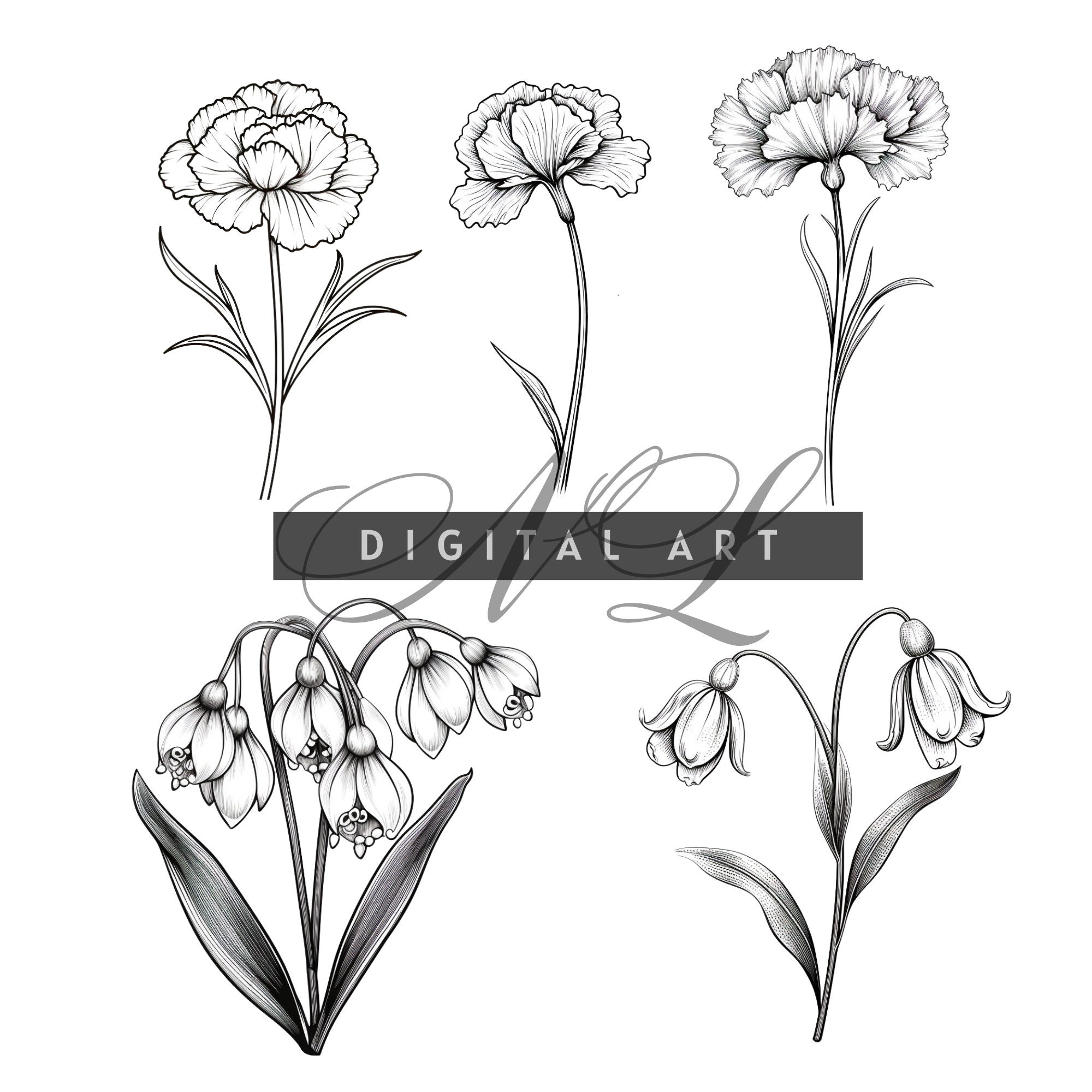 January Birth Month Flowers Clipart SVG/PNG Cricut Files - Etsy