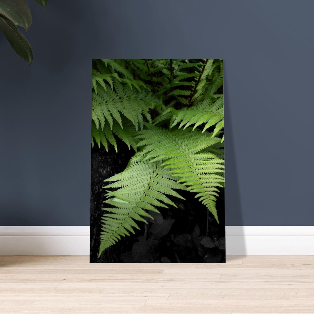 Mural Leaves Picture Fern Poster Green Poster Nature Mural Plants Mural ...