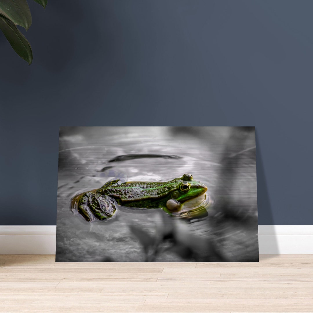 Poster Frog Art Print Animals Poster Animals Image Frog Mural Black ...