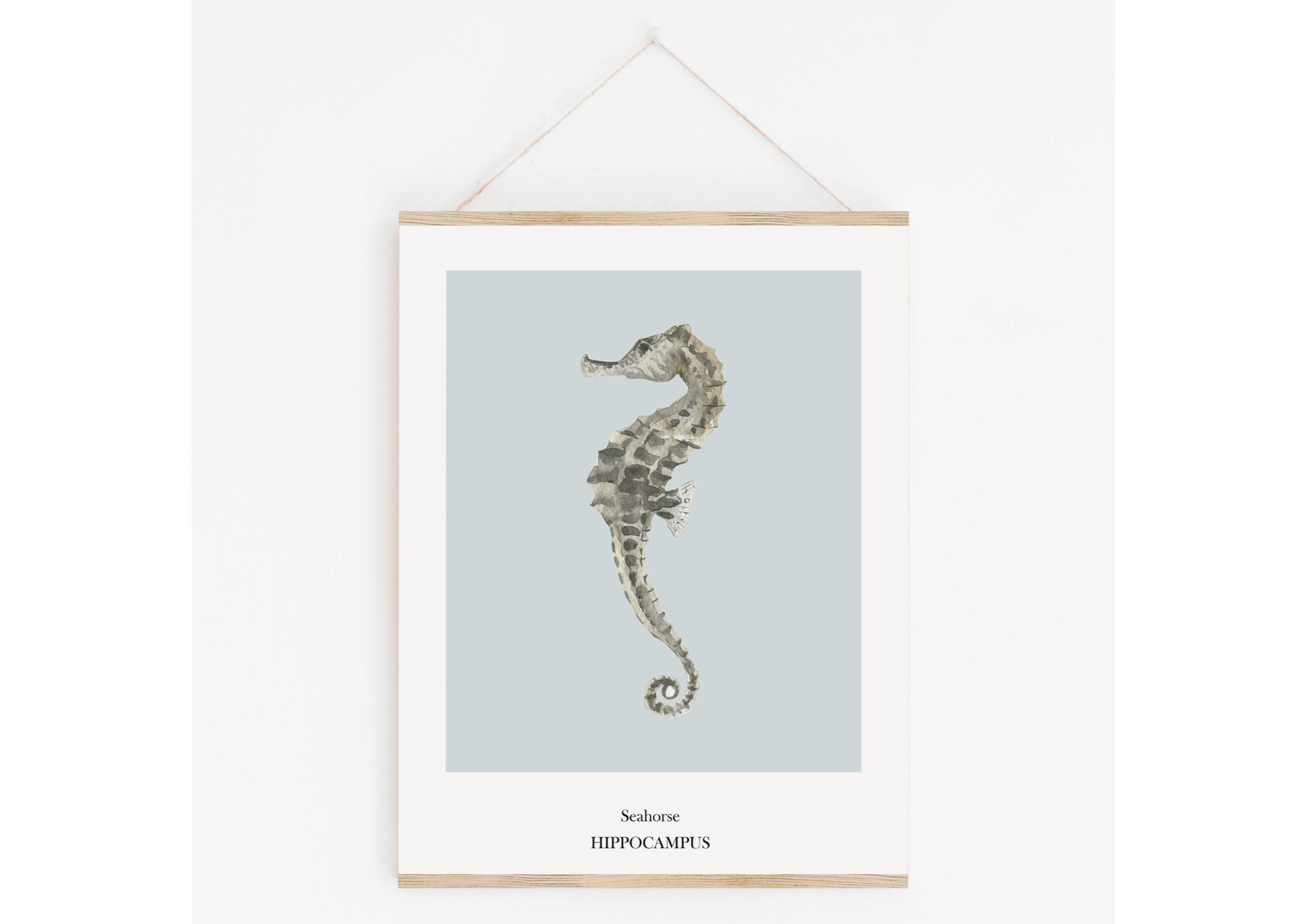 Seahorse Educational Poster for Montessori Classroom Nursery Printable ...