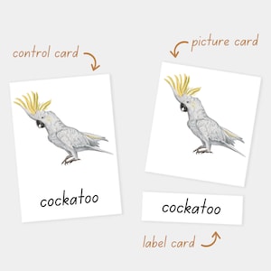 Australian Animal Montessori Nomenclature 3 Part Classification Cards ...