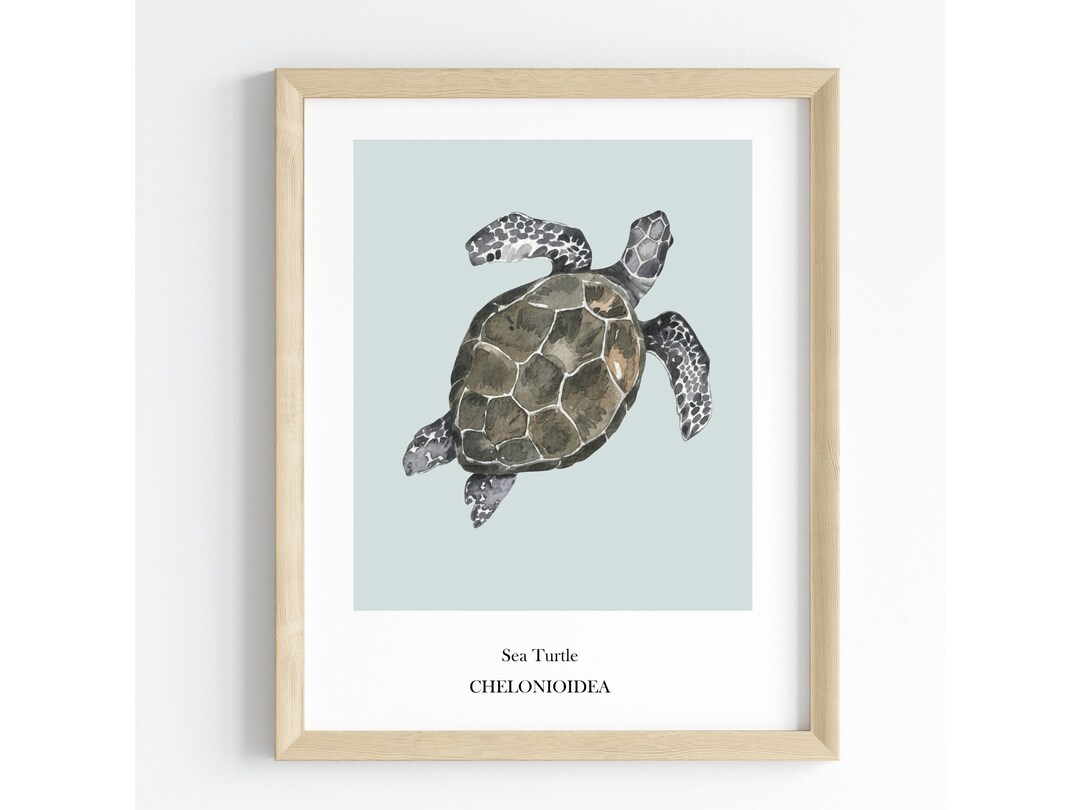 Sea Turtle Print Educational Art Marine Life Decor Classroom Wall Art ...
