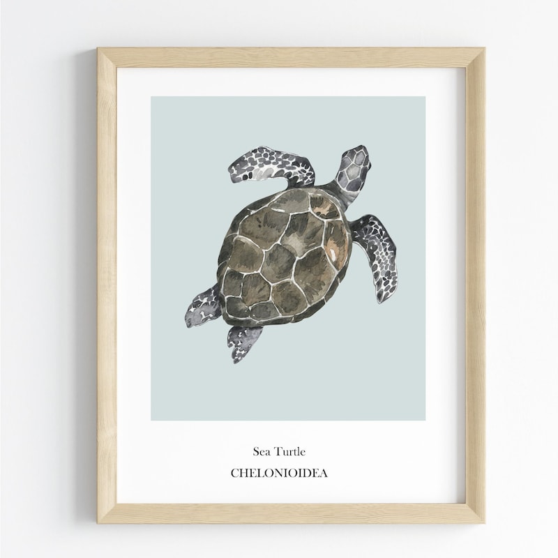 Sea Turtle Wall Art - Etsy