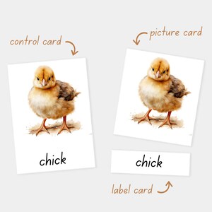 Farm Animals Montessori Nomenclature 3 Part Classification Interactive ...