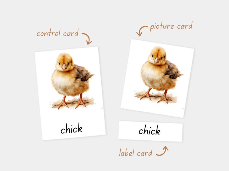 Farm Animals Montessori Nomenclature 3 Part Classification Interactive ...
