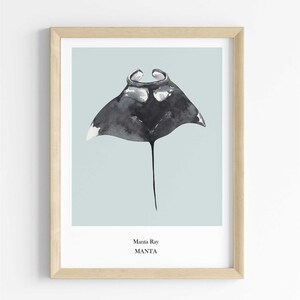 Manta Ray Educational Poster Gift for Teachers Classroom Decor Ocean ...