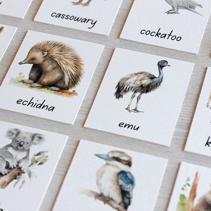 Australian Animals - Etsy