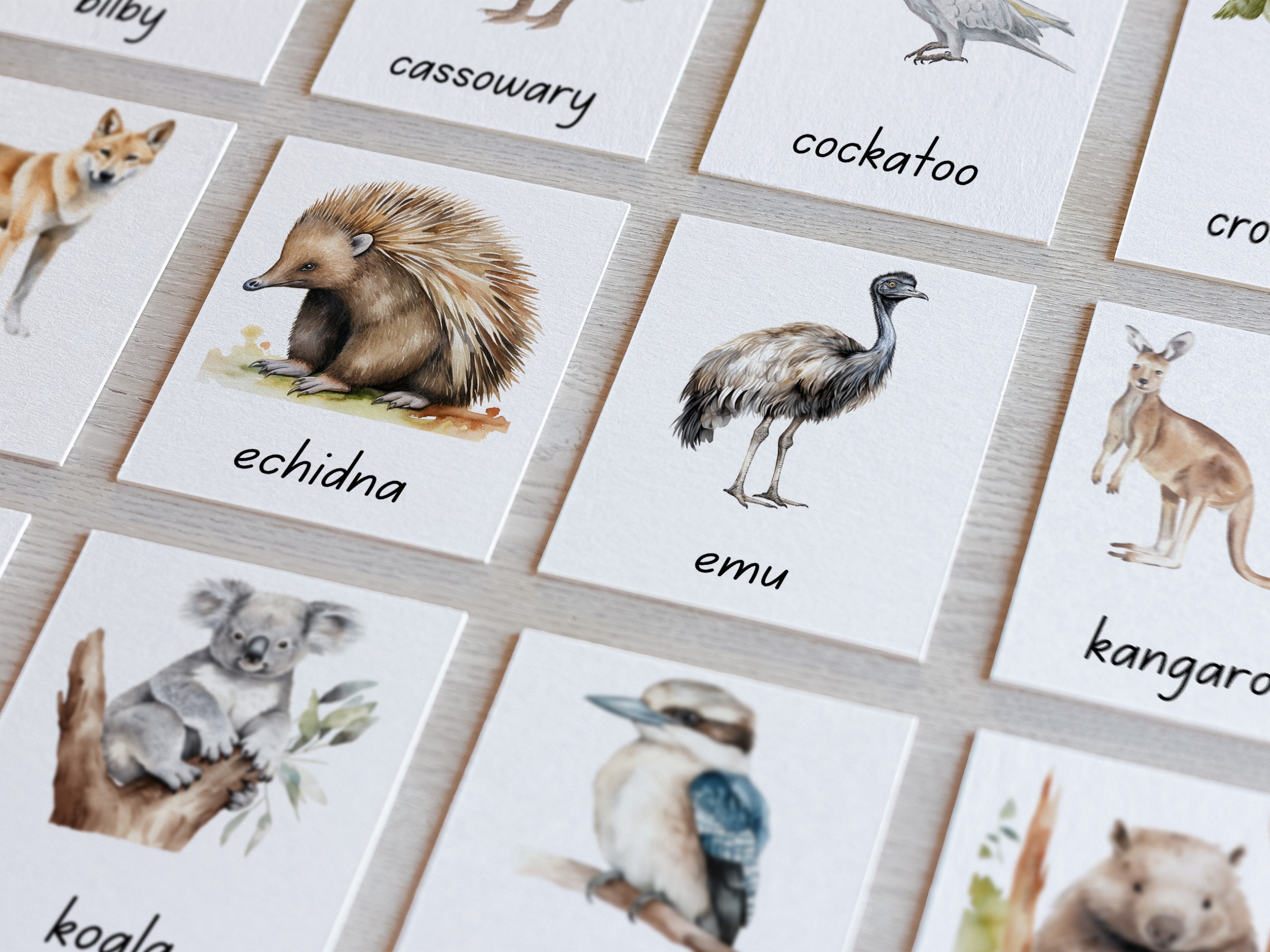 Australian Animal Montessori Nomenclature 3 Part Classification Cards ...