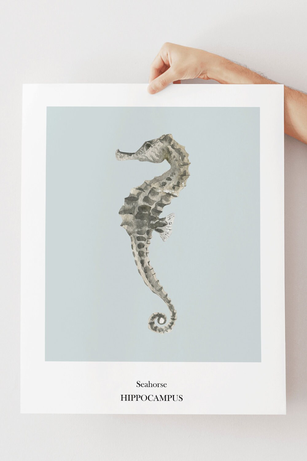 Seahorse Educational Poster for Montessori Classroom Nursery Printable ...