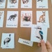 Australian Animal Montessori Nomenclature 3 Part Classification Cards ...