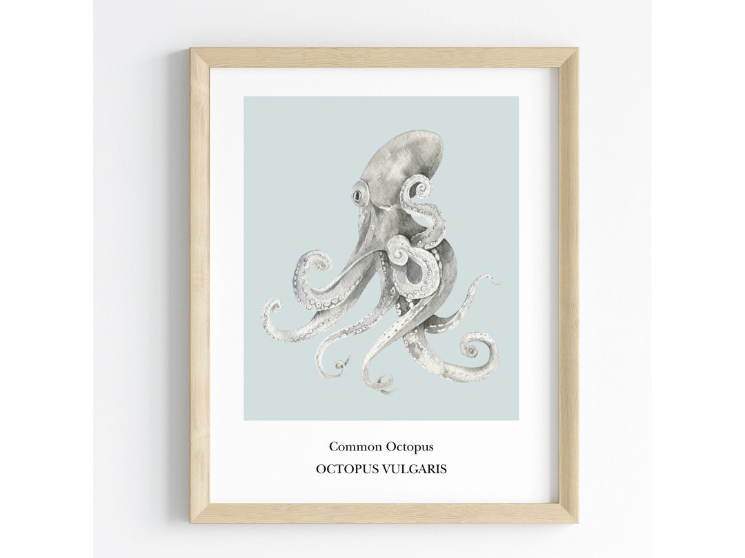 Octopus Print Octopus Printable Octopus Printable Wall Art Nautical ...