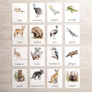 Australian Animal Montessori Nomenclature 3 Part Classification Cards ...