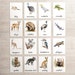 Australian Animal Montessori Nomenclature 3 Part Classification Cards ...
