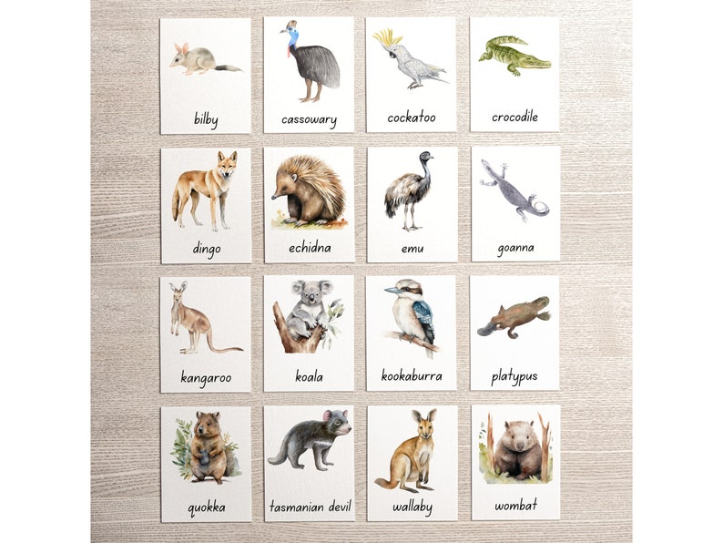 Australian Animal Montessori Nomenclature 3 Part Classification Cards ...