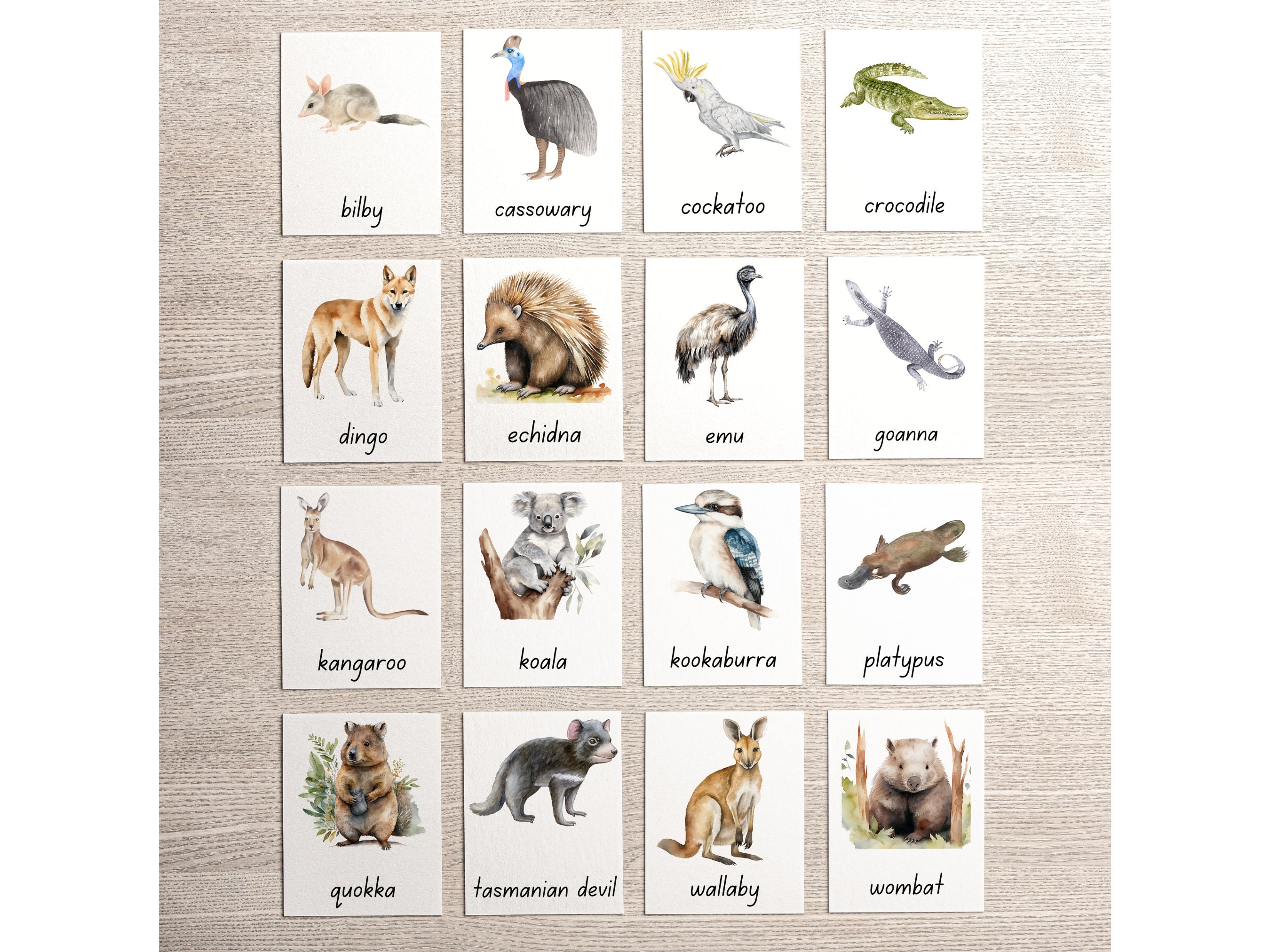 Australian Animal Montessori Nomenclature 3 Part Classification Cards ...