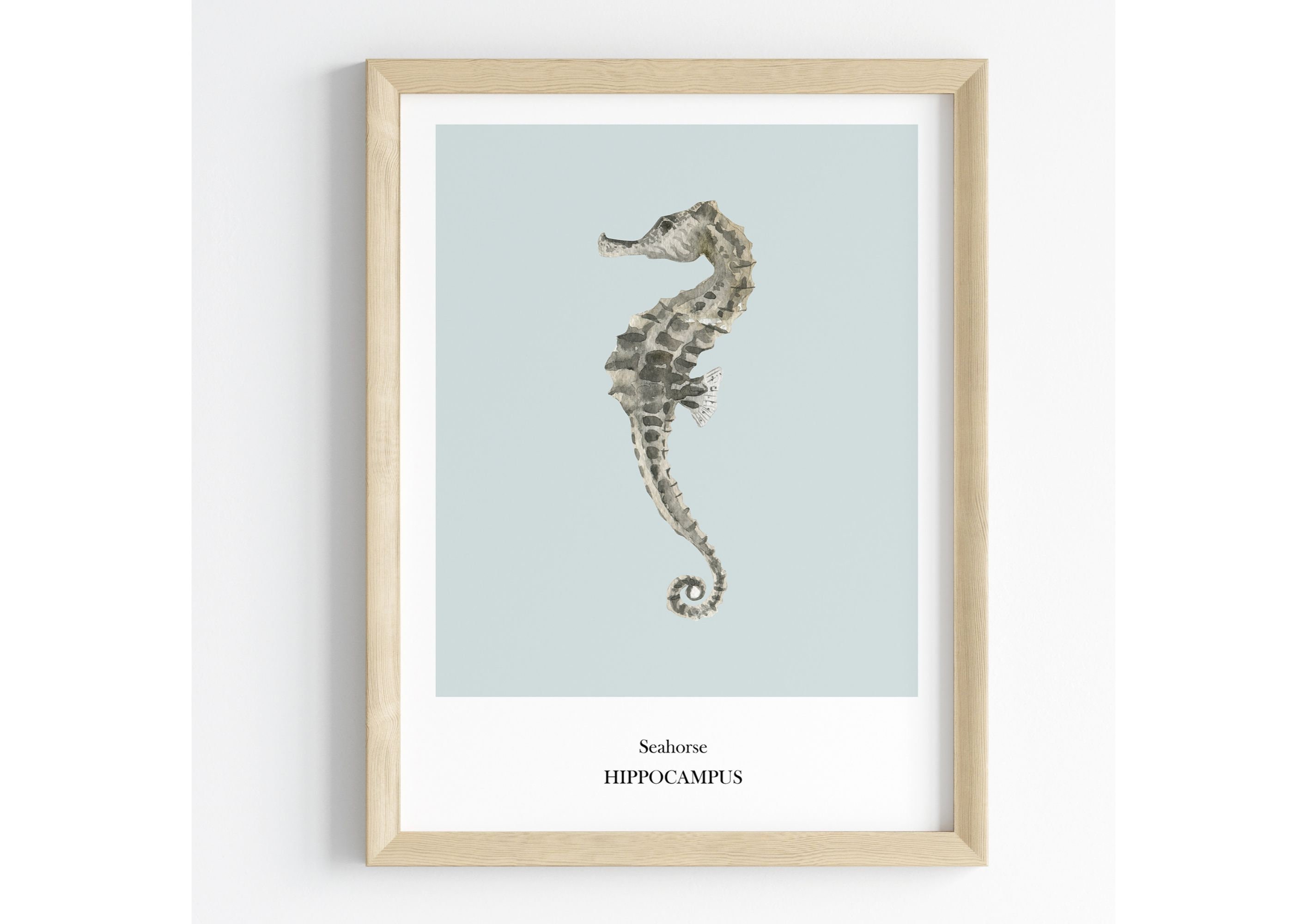 Seahorse Educational Poster for Montessori Classroom Nursery Printable ...