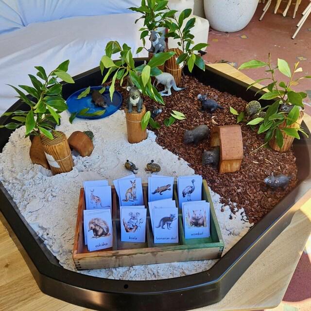 Australian Animal Montessori Nomenclature 3 Part Classification Cards ...