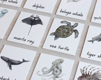 Australian Animal Montessori Nomenclature 3 Part Classification Cards ...