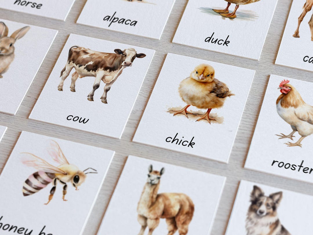 Farm Animals Montessori Nomenclature 3 Part Classification Interactive ...