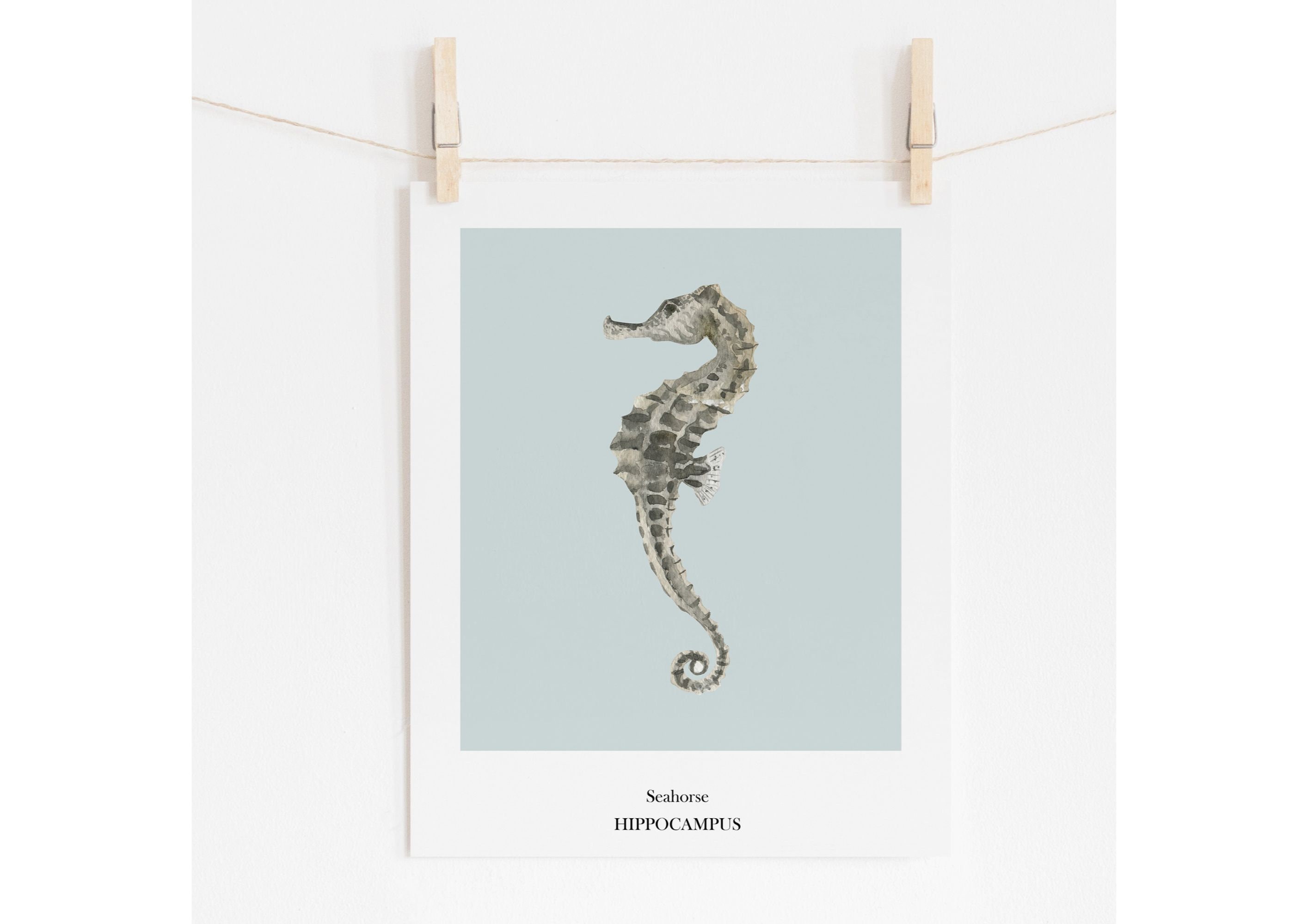 Seahorse Educational Poster for Montessori Classroom Nursery Printable ...