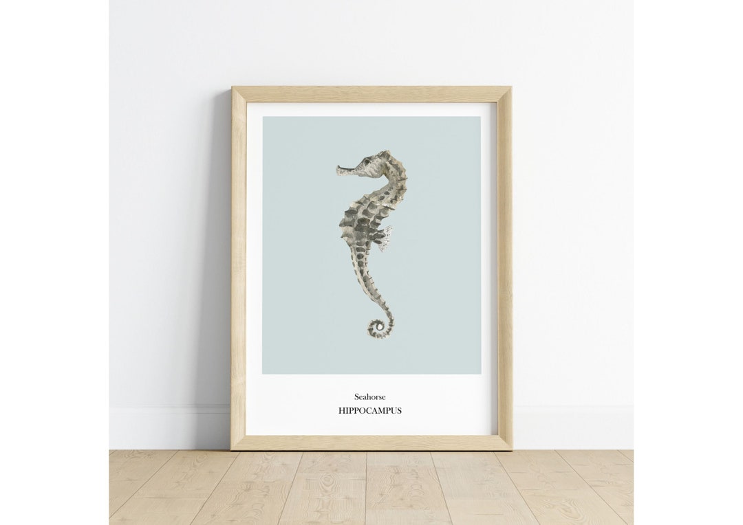Seahorse Educational Poster for Montessori Classroom Nursery Printable ...