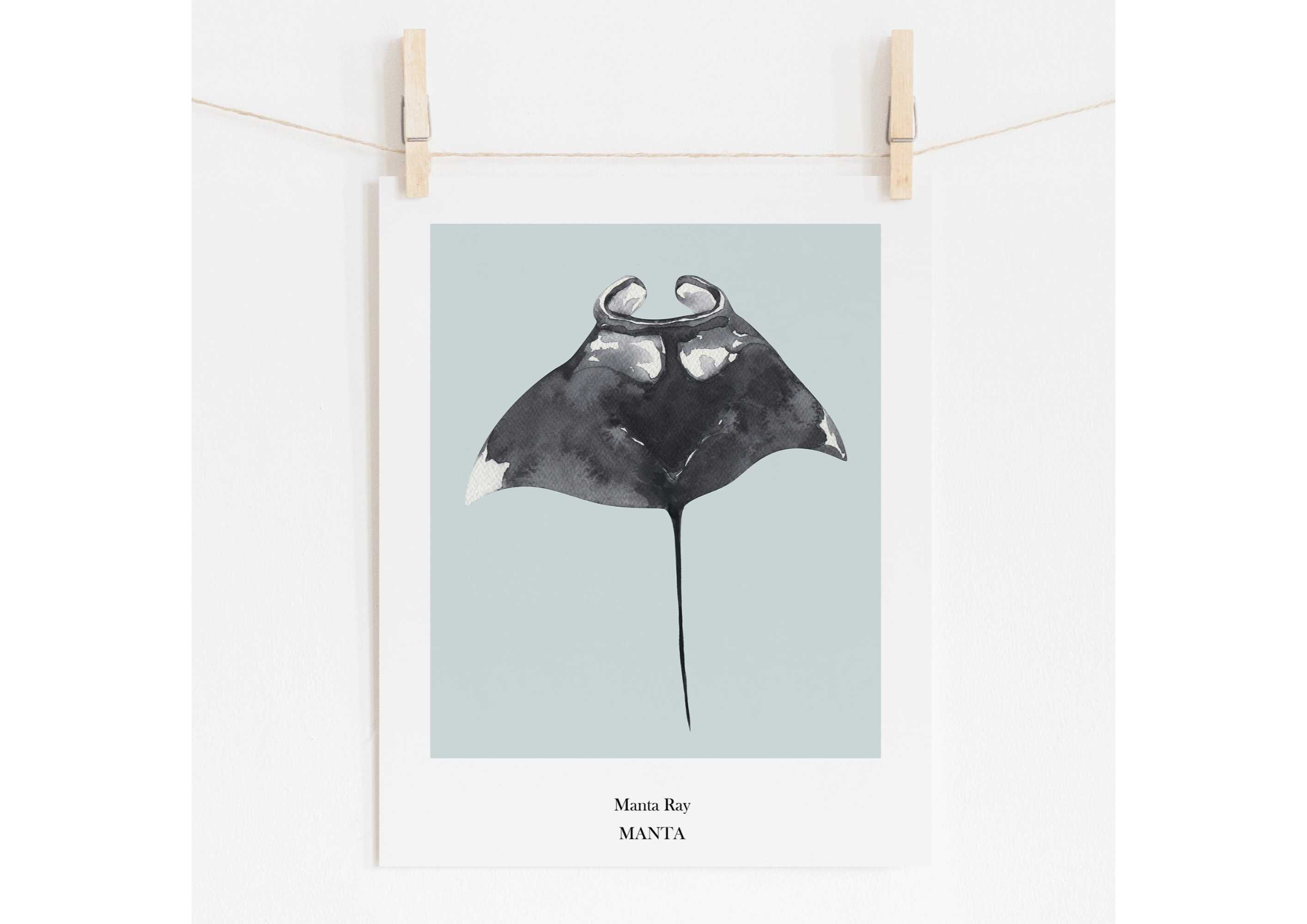 Manta Ray Educational Poster Gift for Teachers Classroom Decor - Etsy