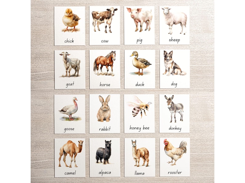 Farm Animals Montessori Nomenclature 3 Part Classification Interactive ...