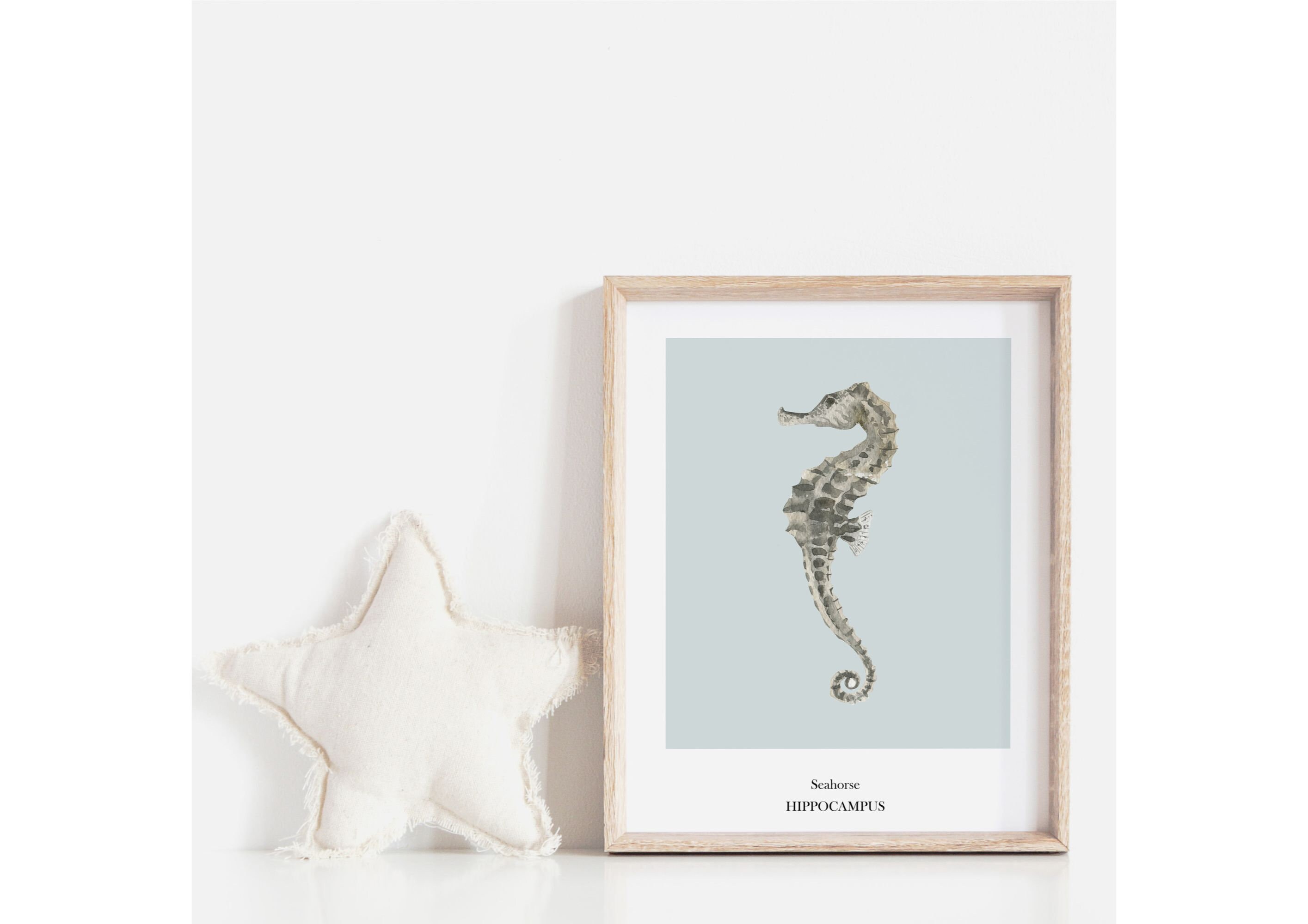 Seahorse Educational Poster for Montessori Classroom Nursery Printable ...