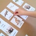 Australian Animal Montessori Nomenclature 3 Part Classification Cards ...