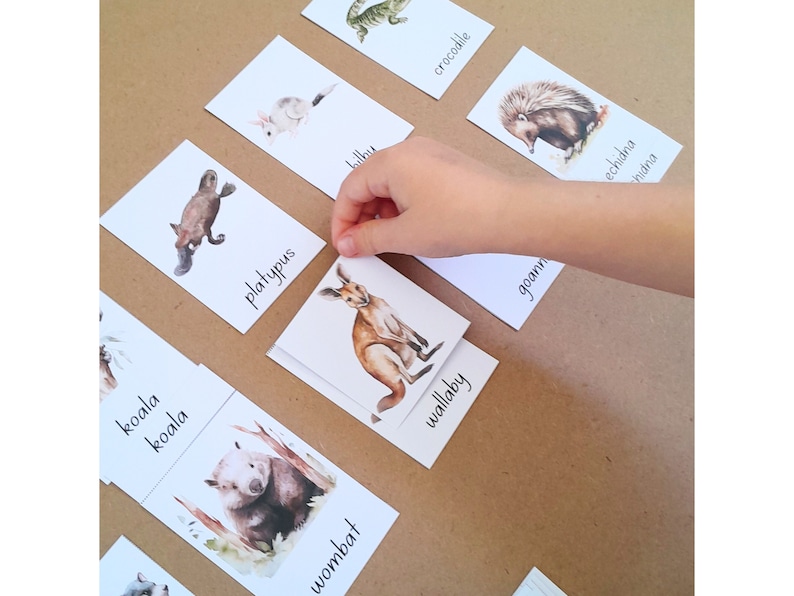 Australian Animal Montessori Nomenclature 3 Part Classification Cards ...