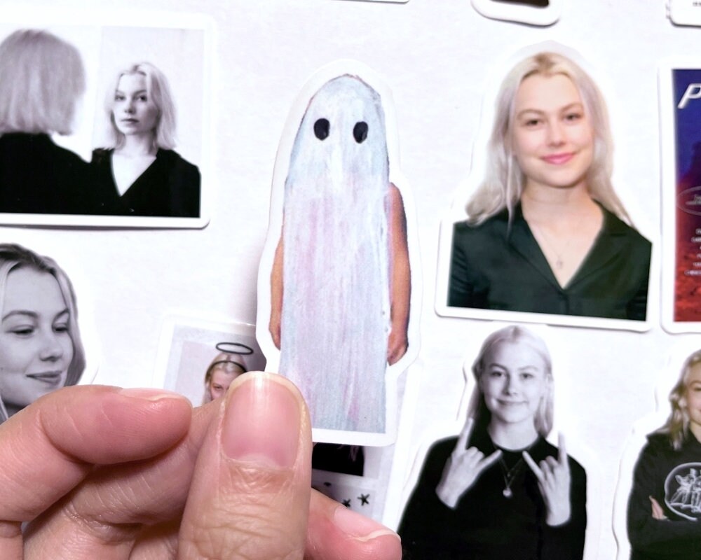 Phoebe Bridgers Assorted Stickers 12pcs Waterproof DIY Travel - Etsy