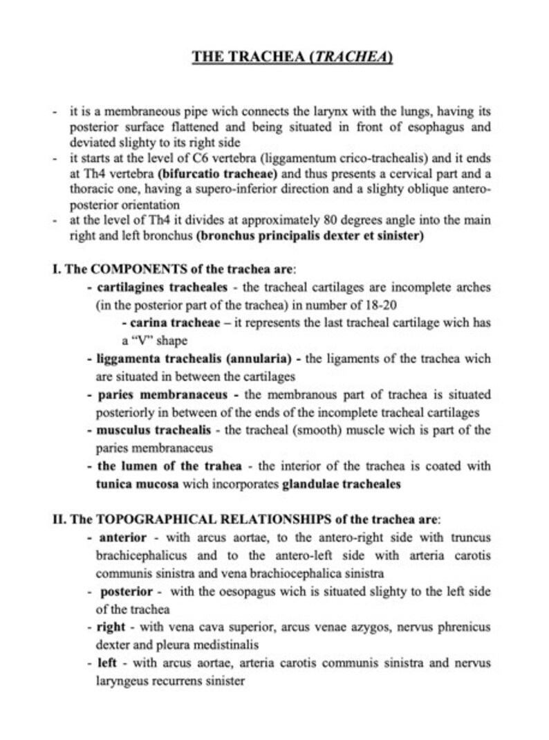 Anatomy Organs Summary - Etsy
