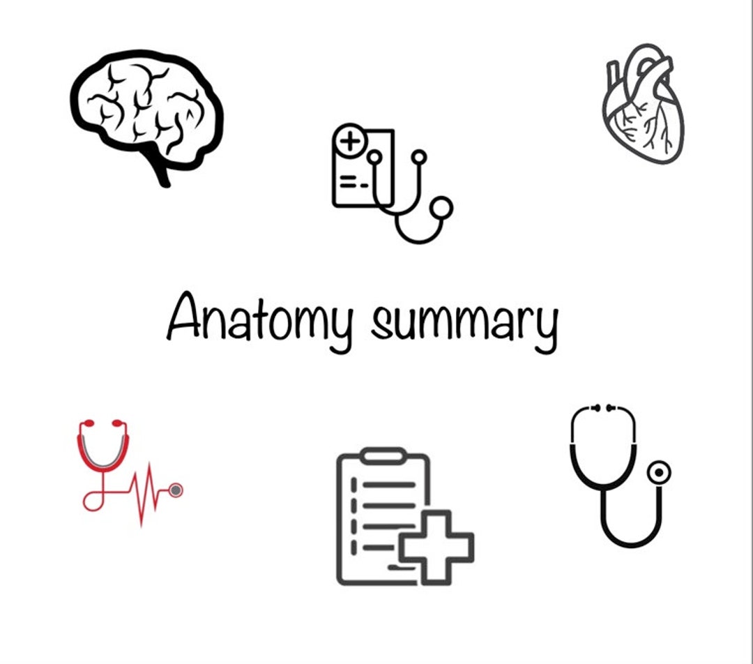 Anatomy Organs Summary - Etsy