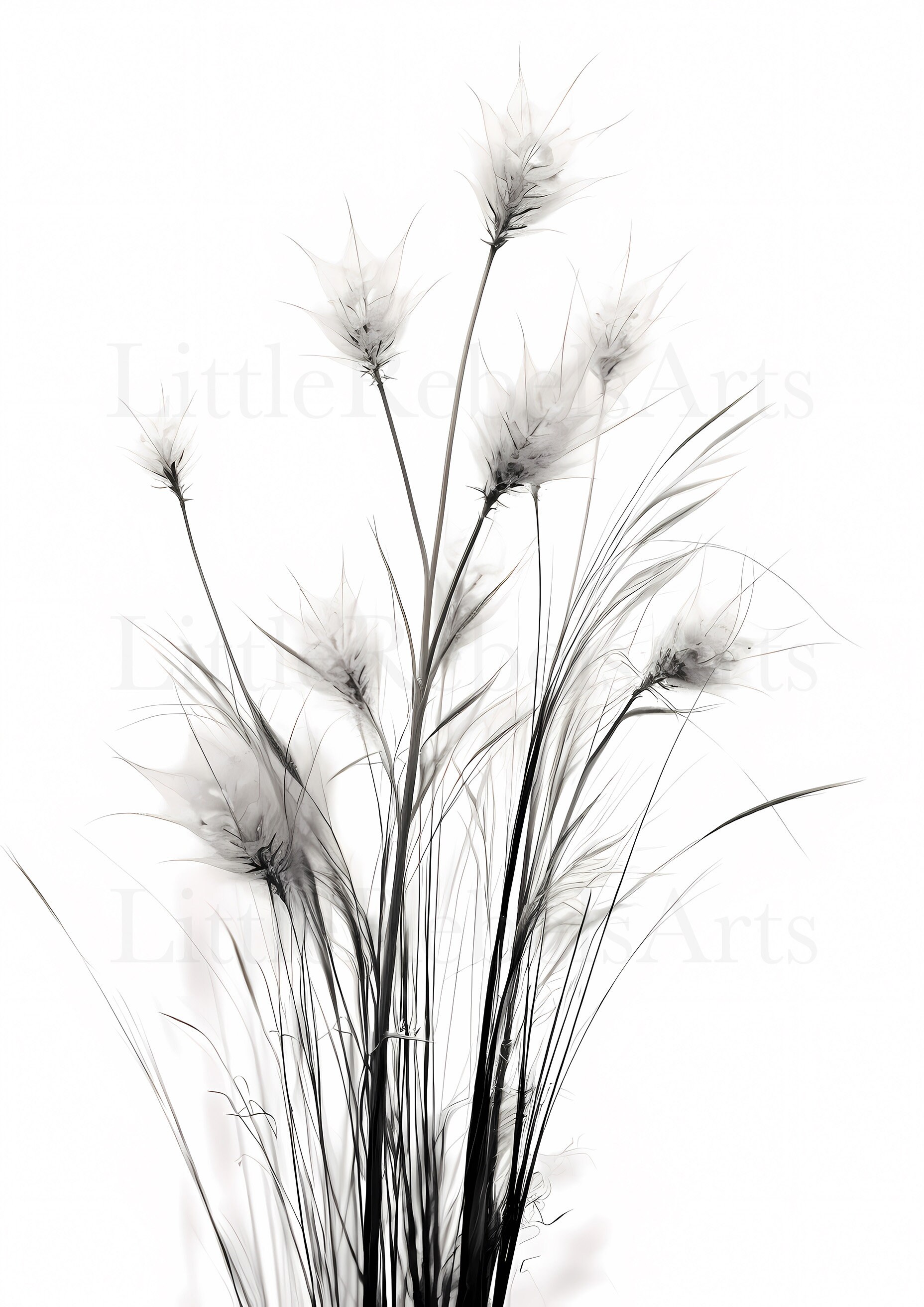 Modern Wall Art Set of 2 Botanical X-ray Prints, Flowers, Boho Decor ...