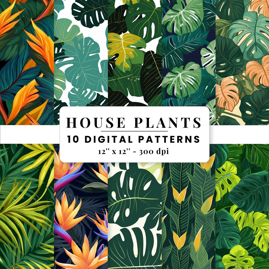 Plants Digital Seamless Prints Monsterra Patterns Plant Wallpaper ...