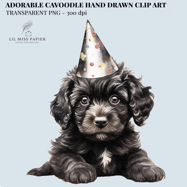 Cavoodle Clipart Hand-drawn Party Animals Transparent PNG Graphics ...