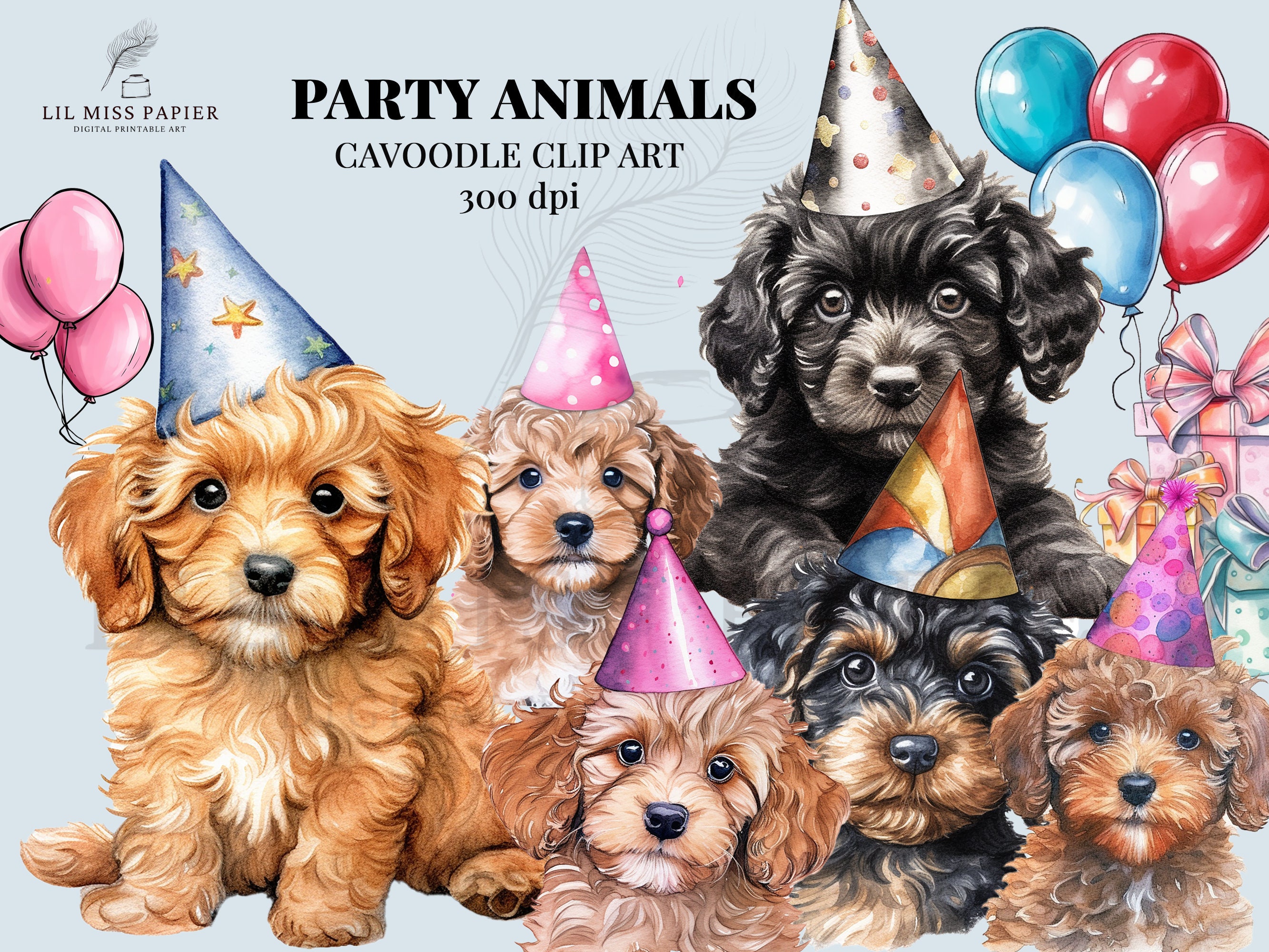 Cavoodle Clipart Hand-drawn Party Animals Transparent PNG Graphics ...