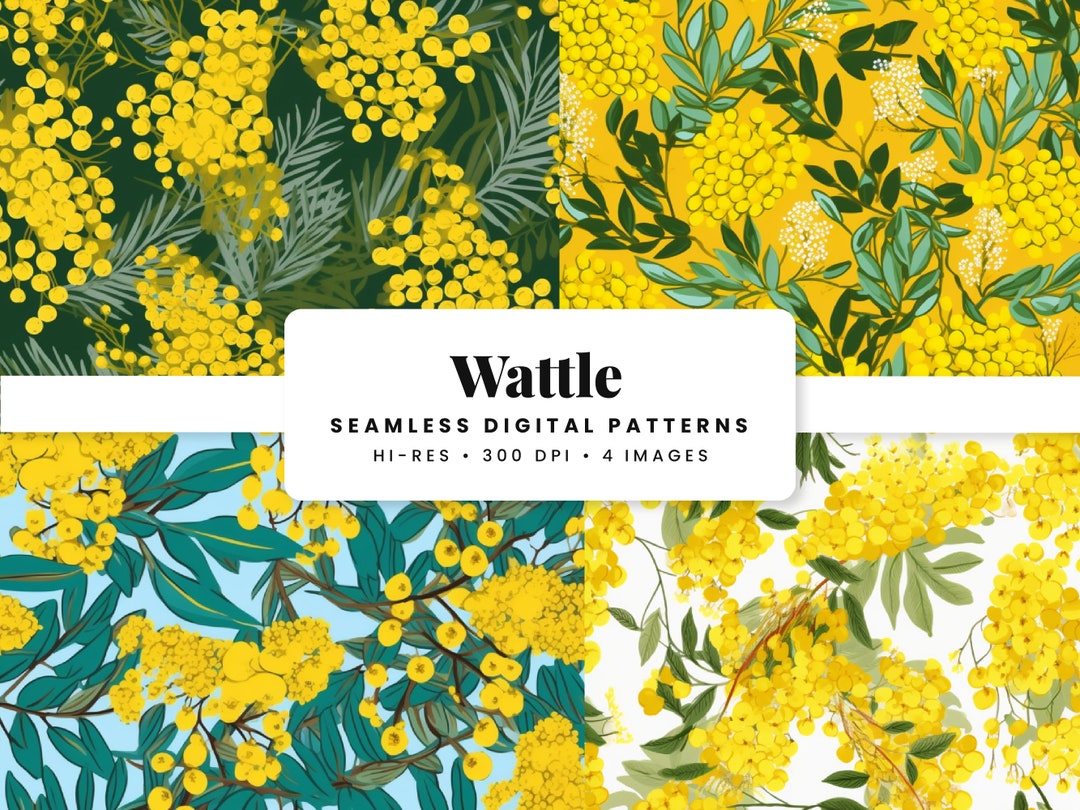 Australian Native Flower Seamless Print Australian Wattle Seamless ...