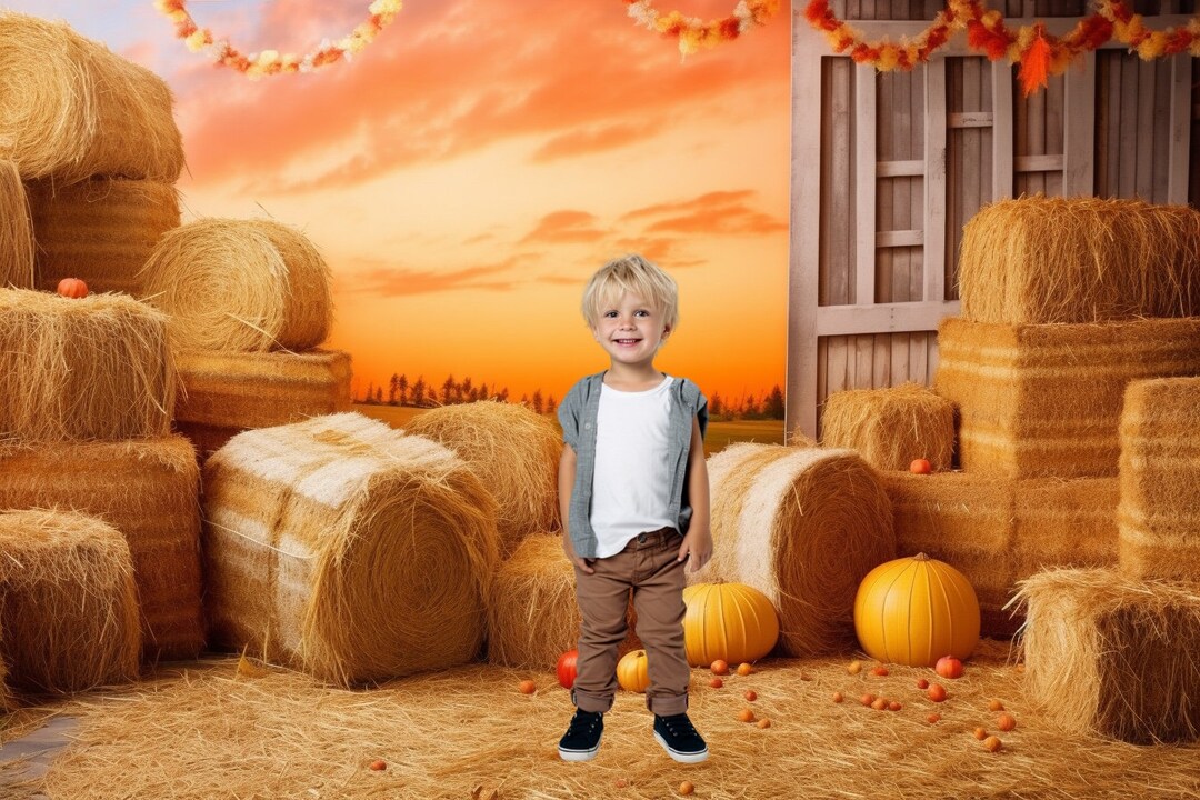 Rustic Backdrop: Farm-themed Photography Prop for Captivating Images - Etsy