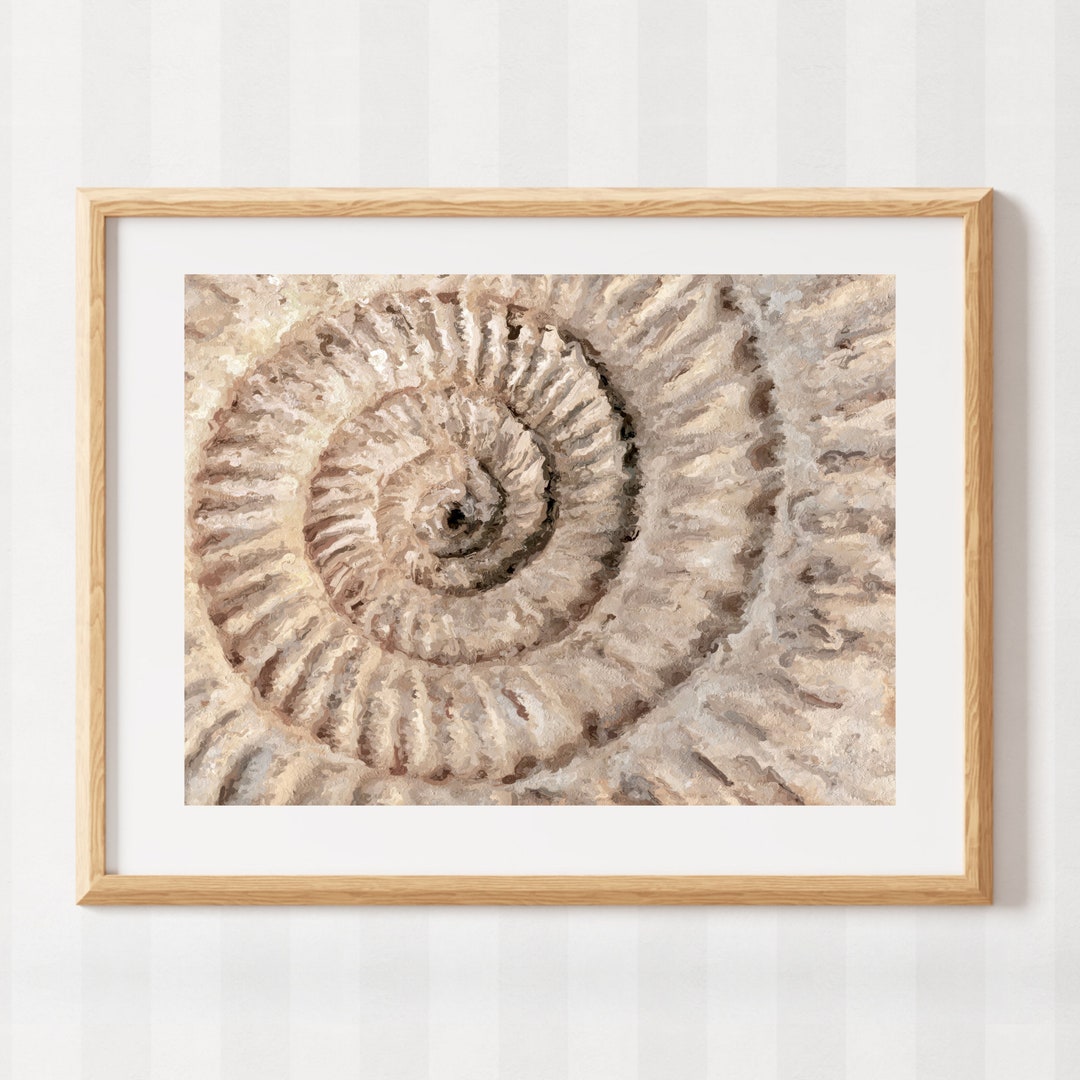 Ammonite Wall Art Fossil Print Spiral Painting Shell Decor Coastal ...
