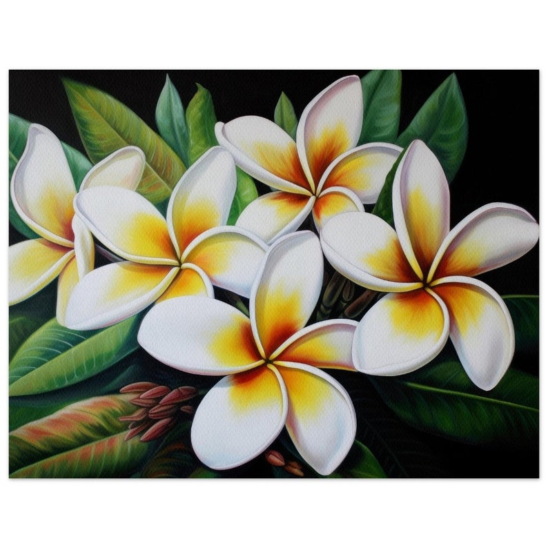 Frangipani Wall Art Frangipani Flower Print Coastal Flowers Tropical ...
