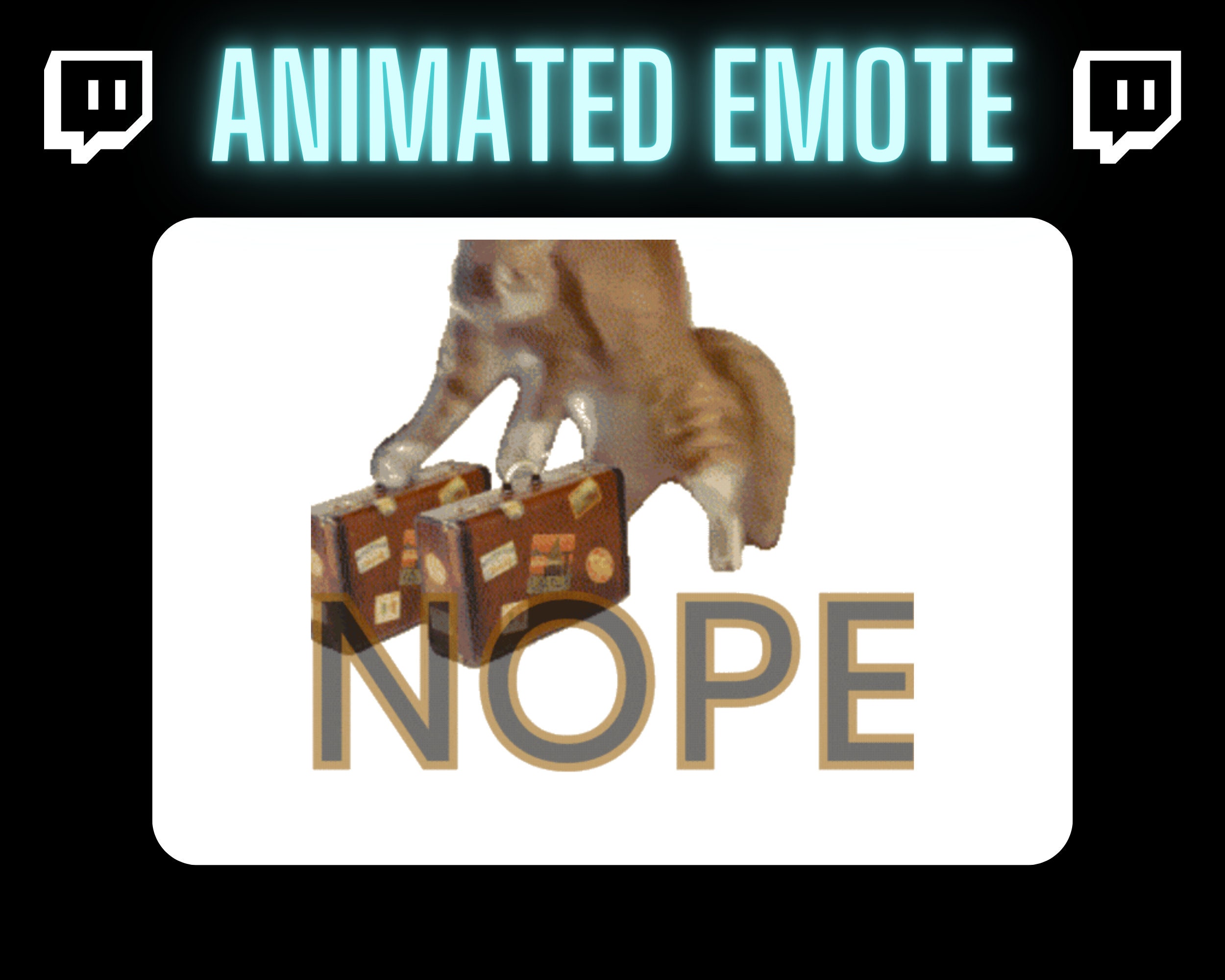 Nope Cat Gif