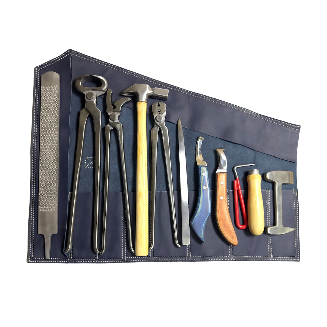 Horse Farrier Tool Kit: 10-piece Hoof Care Set With Italian Leather ...