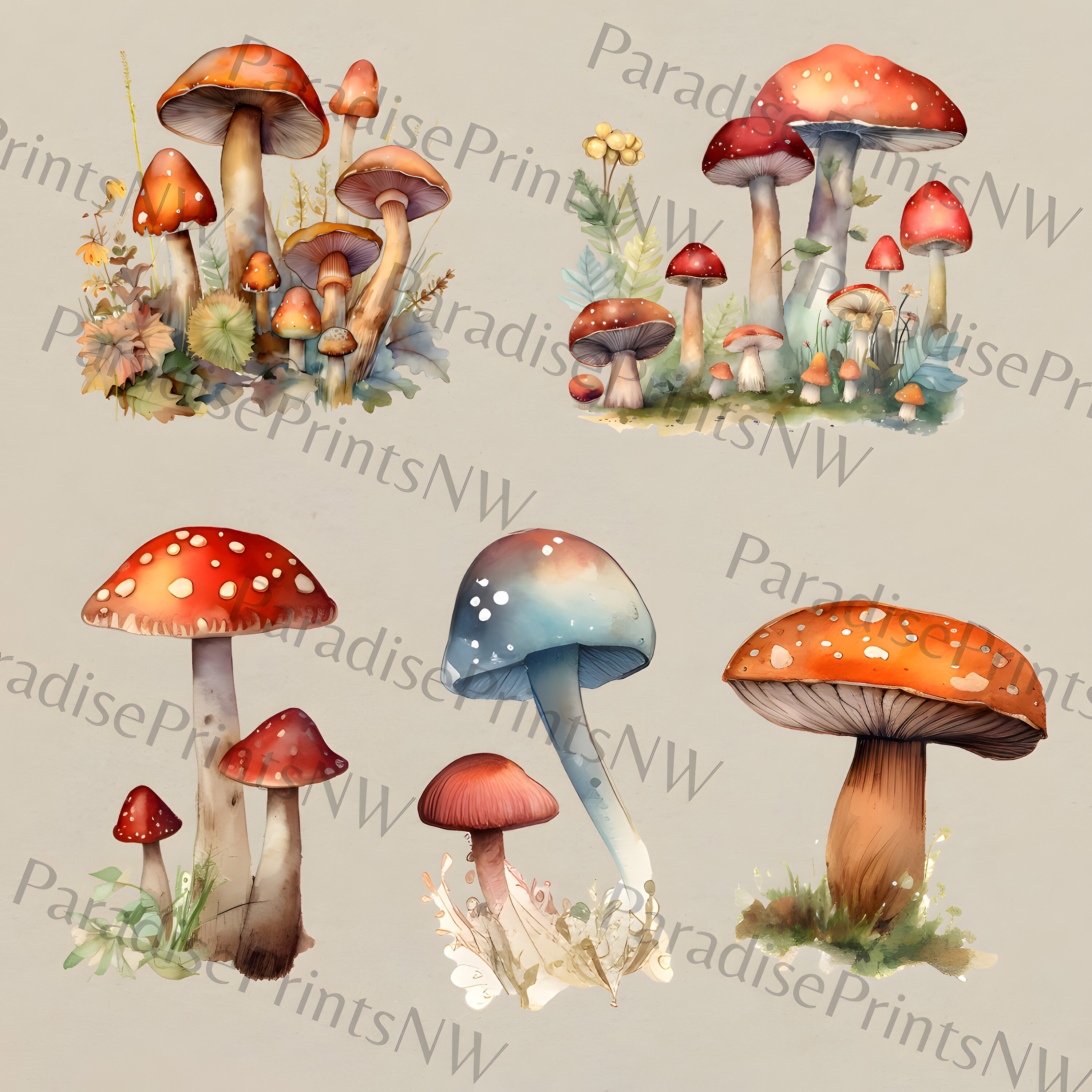 Forest Mushroom Clipart, Watercolor Nature Toadstool Digital Art PNG ...