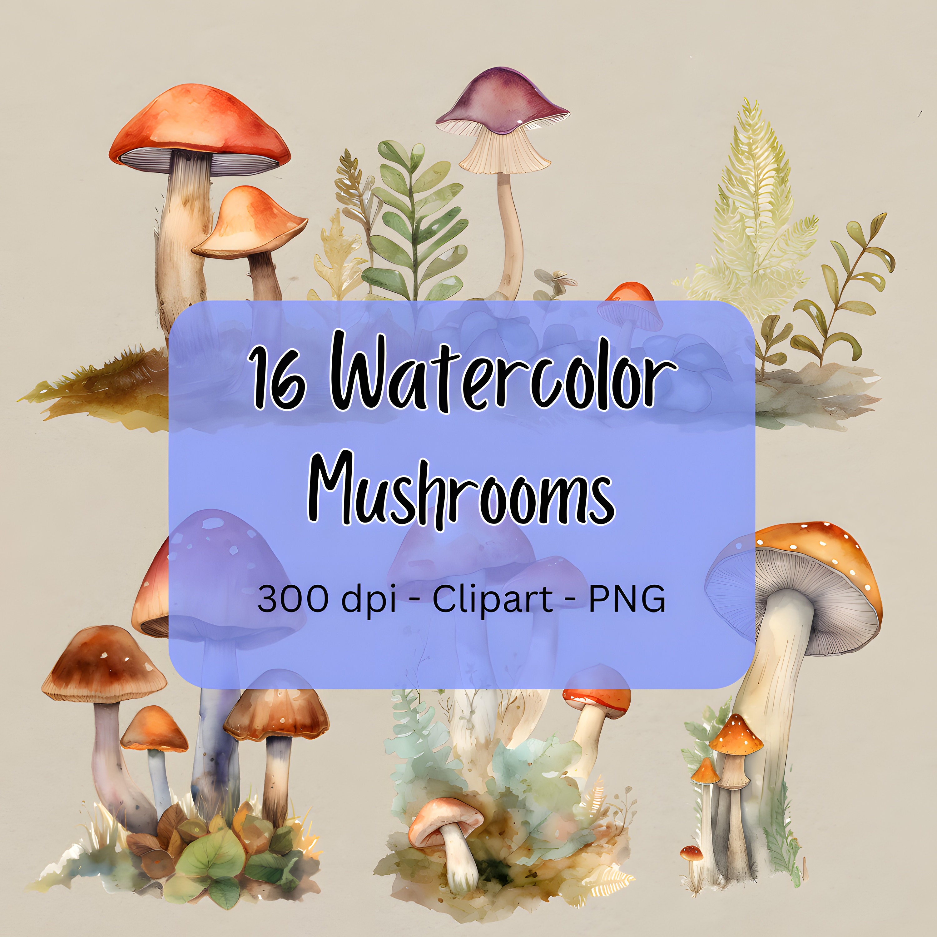Forest Mushroom Clipart, Watercolor Nature Toadstool Digital Art PNG ...