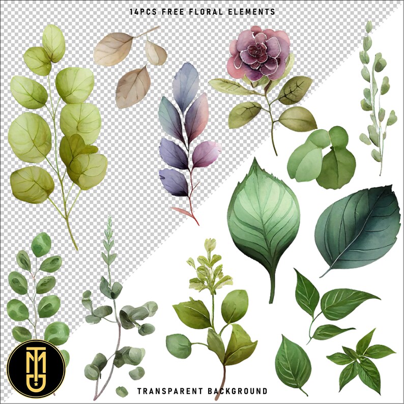 Watercolor Botanical Clipart Frame, Watercolor Floral, Fall Flower, PNG ...